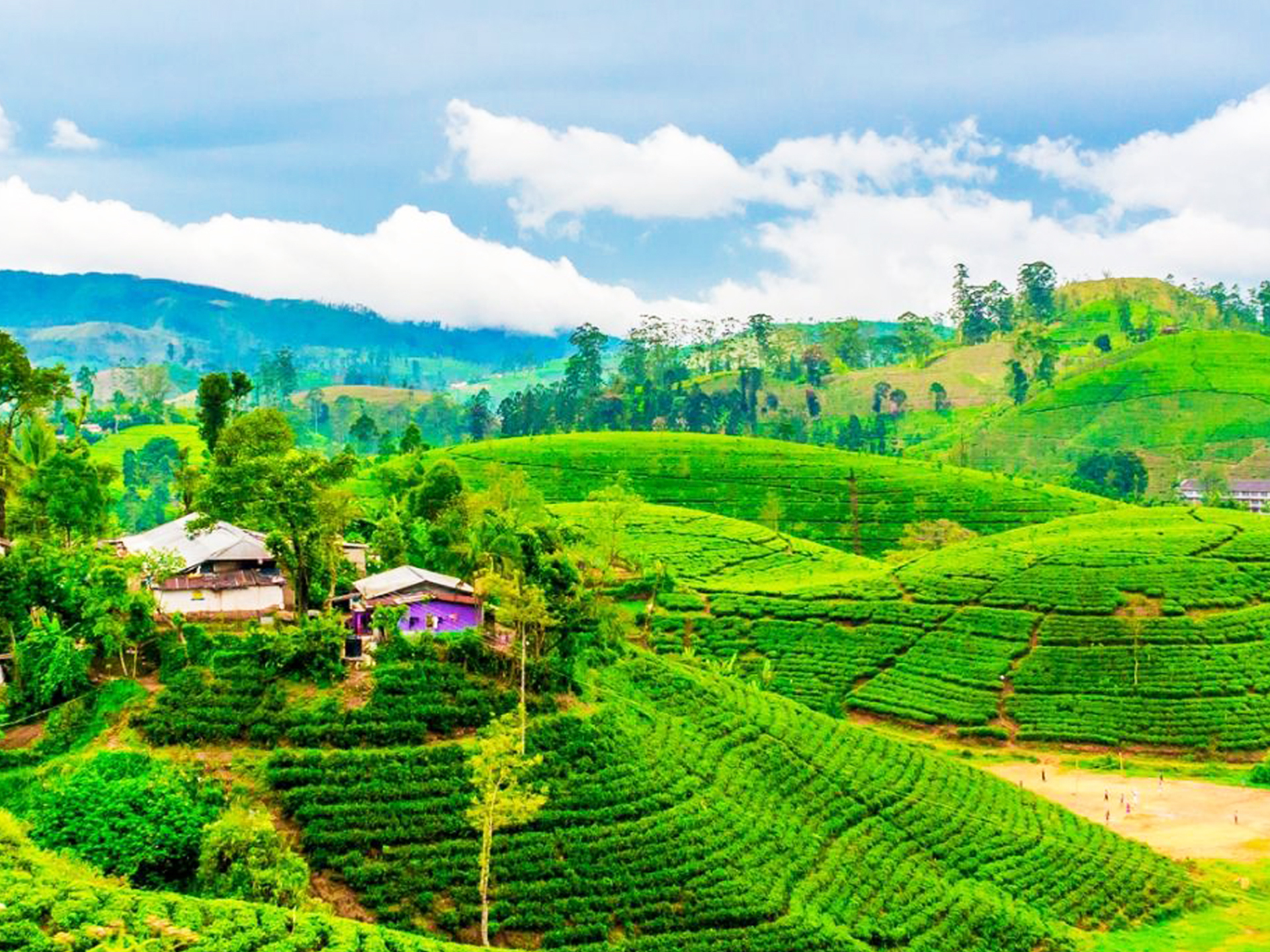 Top 10 Must Visit Tourist Attractions in Sri Lanka | Best Tourist ...