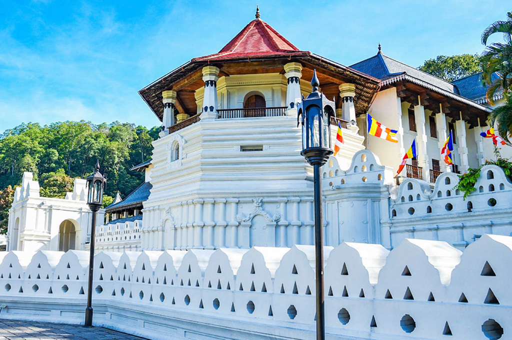 Day Tours From Kandy | Sightseeing Day Tours Starting From Kandy