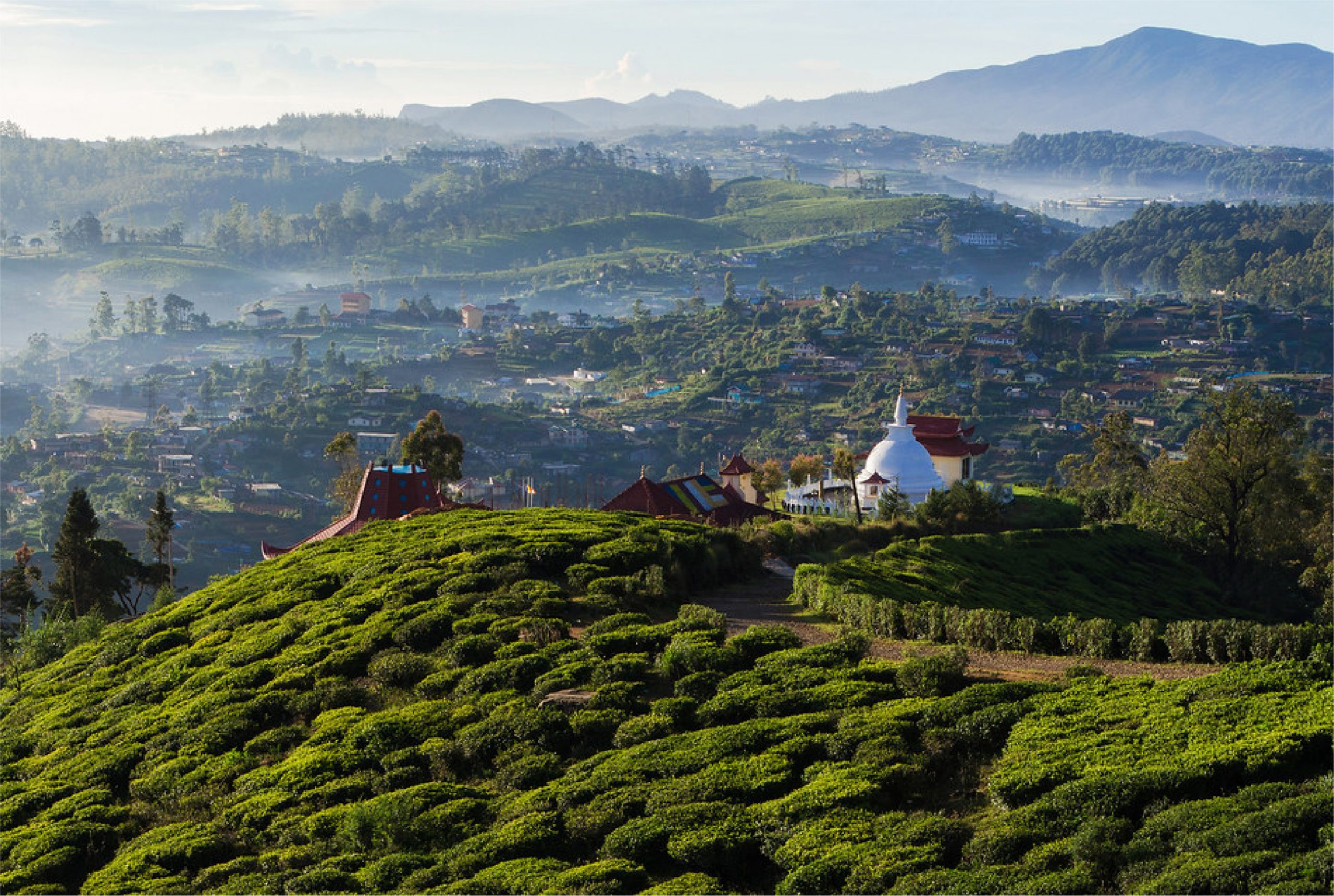 Hike to Single Tree Hills - Overa Tours - Travel Agent in Sri Lanka