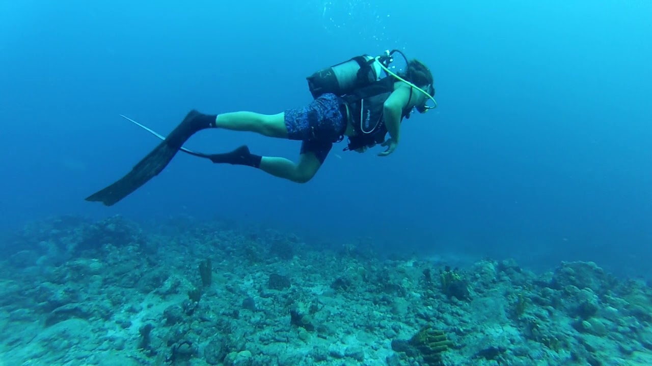 Scuba Diving in Trincomalee - Overa Tours - Travel Agent in Sri Lanka