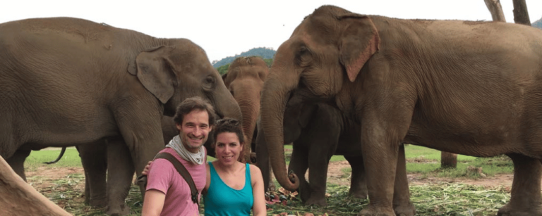 Popular Asian Animals That You Must See | Travel with Overa Tours
