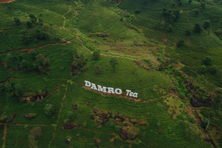 Tea Plantations to Visit in Sri Lanka